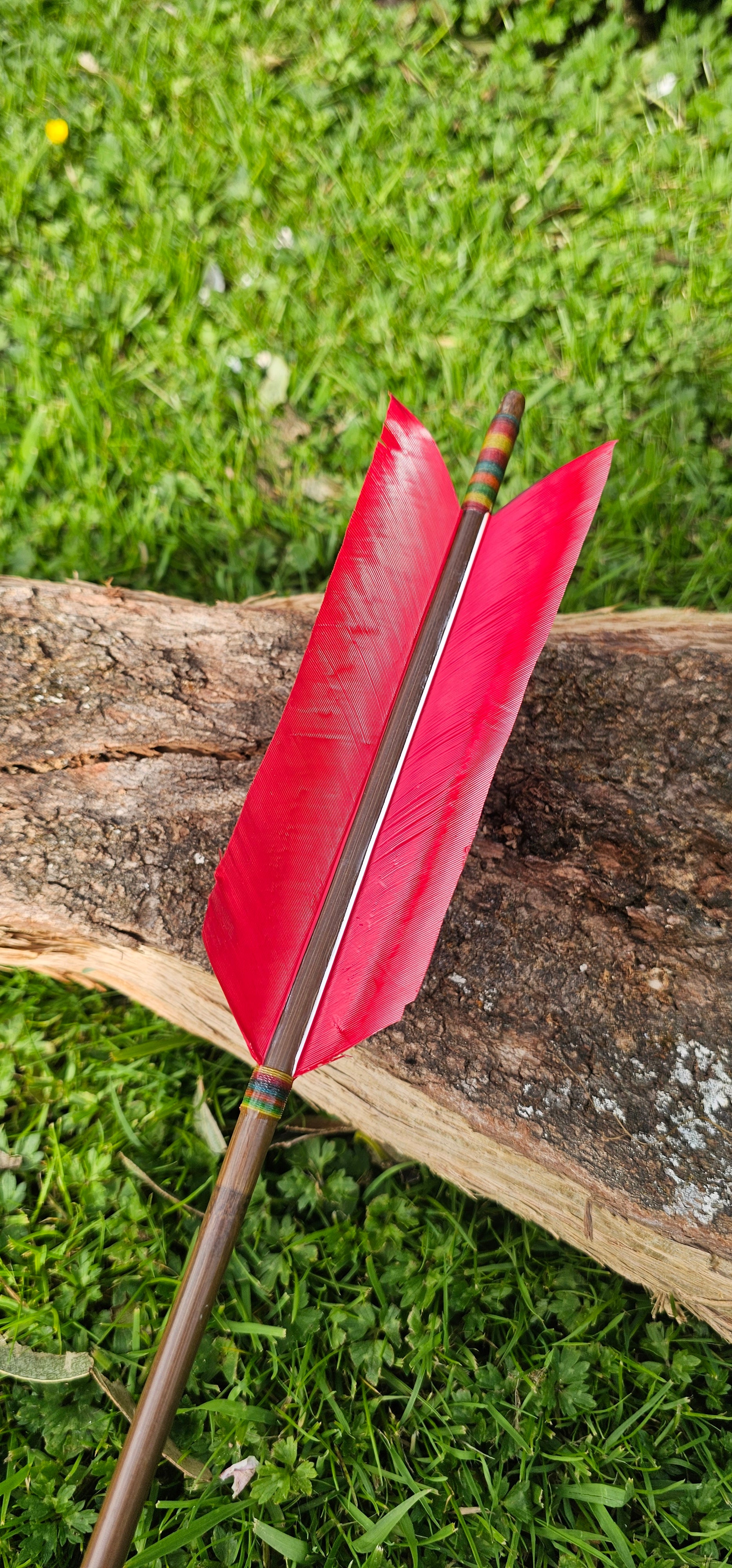 Swept back arrows – Saxon Archery
